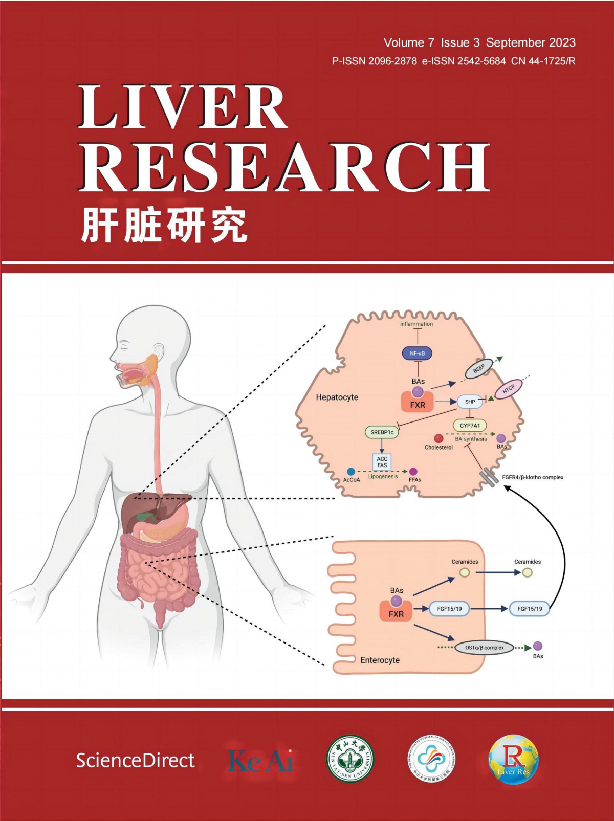 Liver Research杂志被Cabells Journalytics收录 | 中山大学附属第三医院