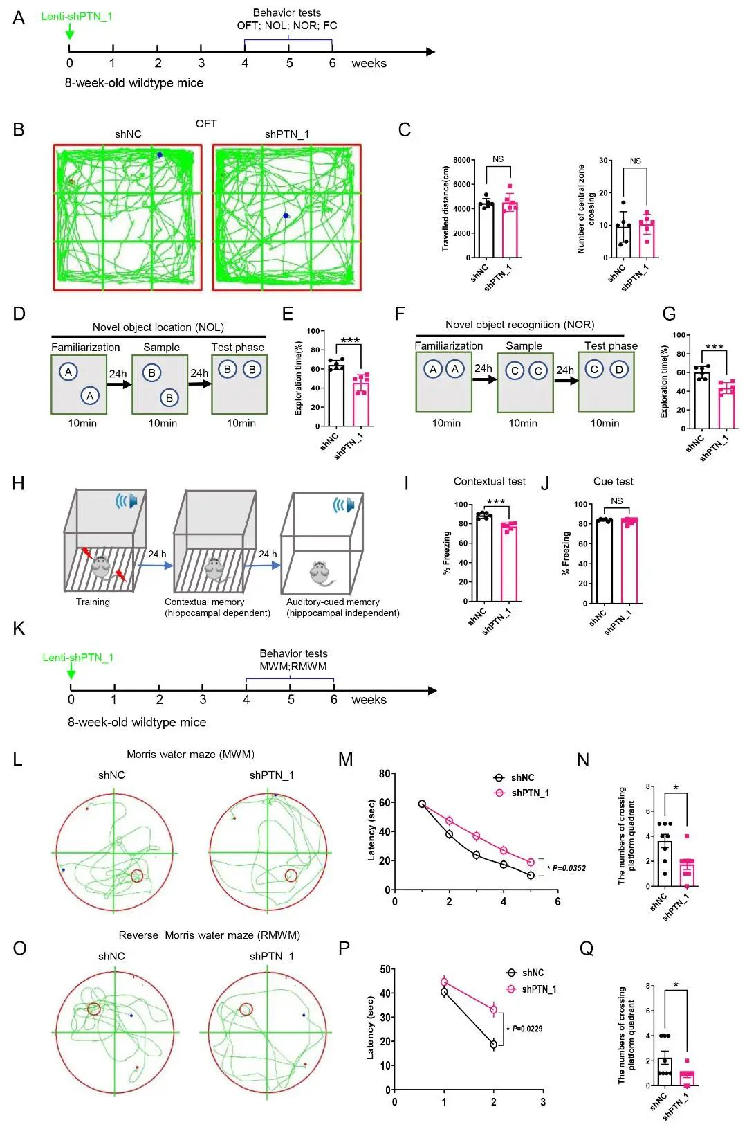 Cell Reports 